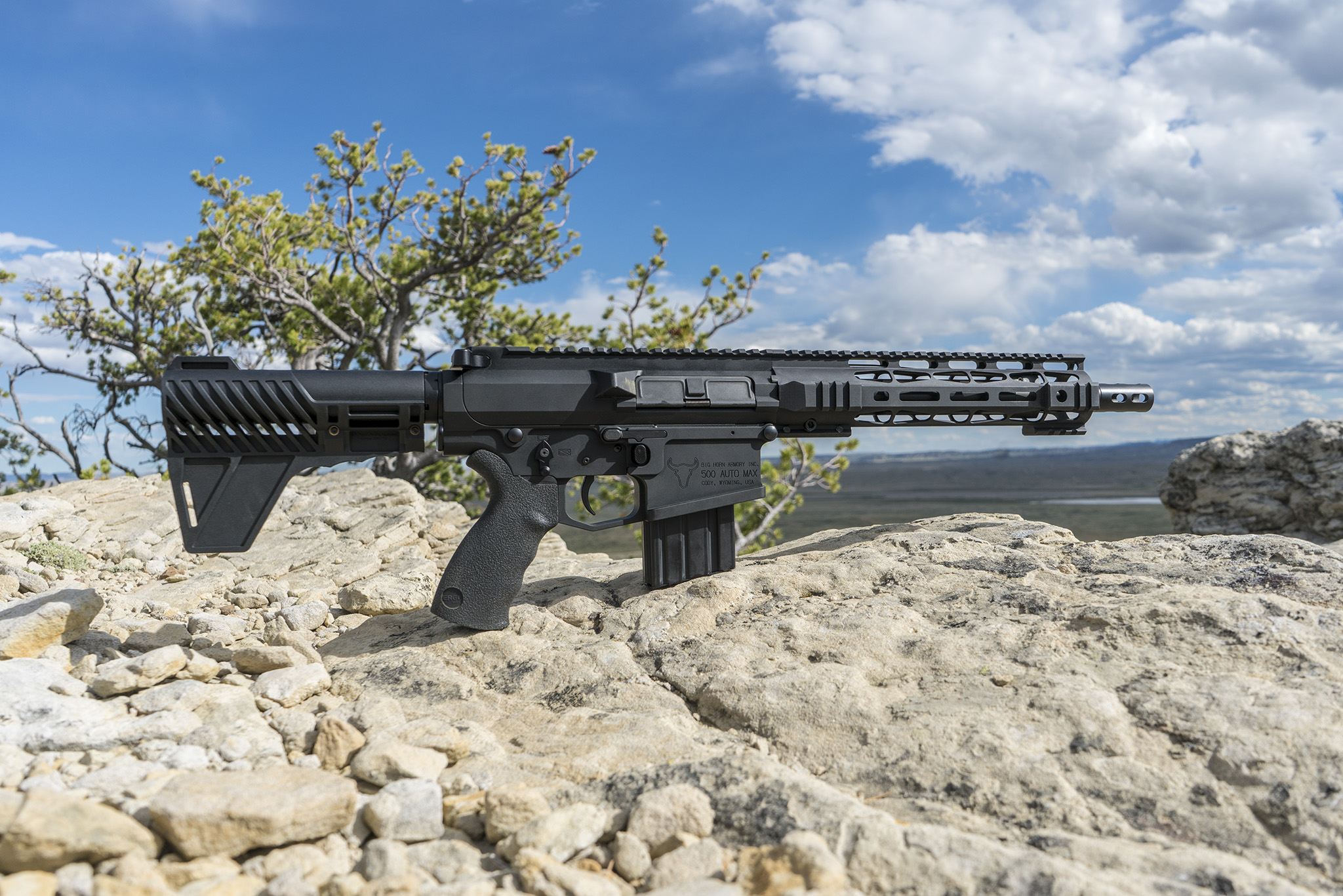 Bring in the New Year with a New Rifle or Pistol from Big Horn Armory ...